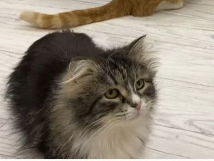 Никто не замечает