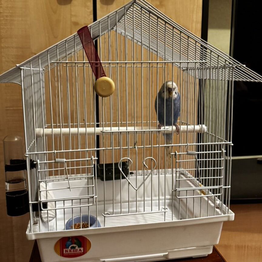 Клетка для попугая
