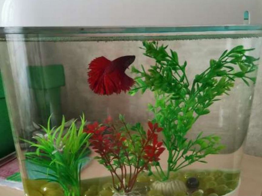 Аквариум акриловый 4,4 литра