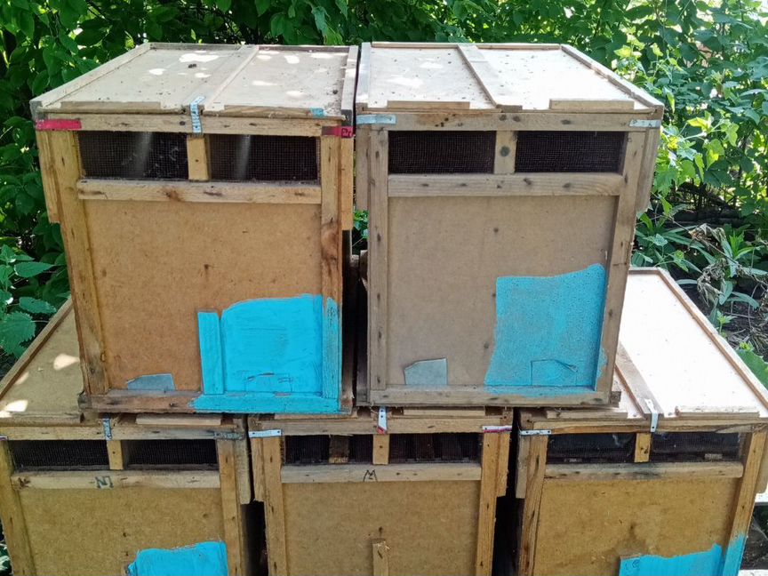 Улей для пчел