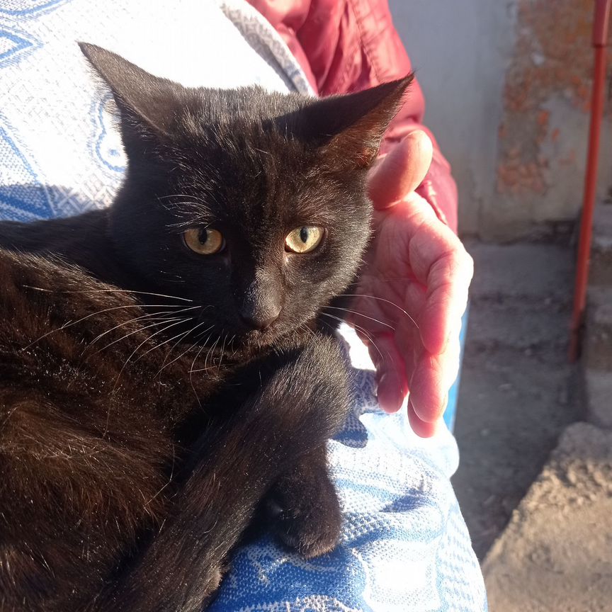 Помогите которебенку