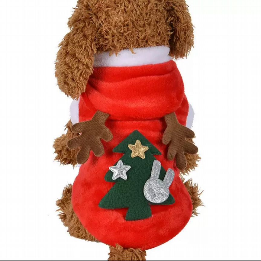 Костюм для собаки