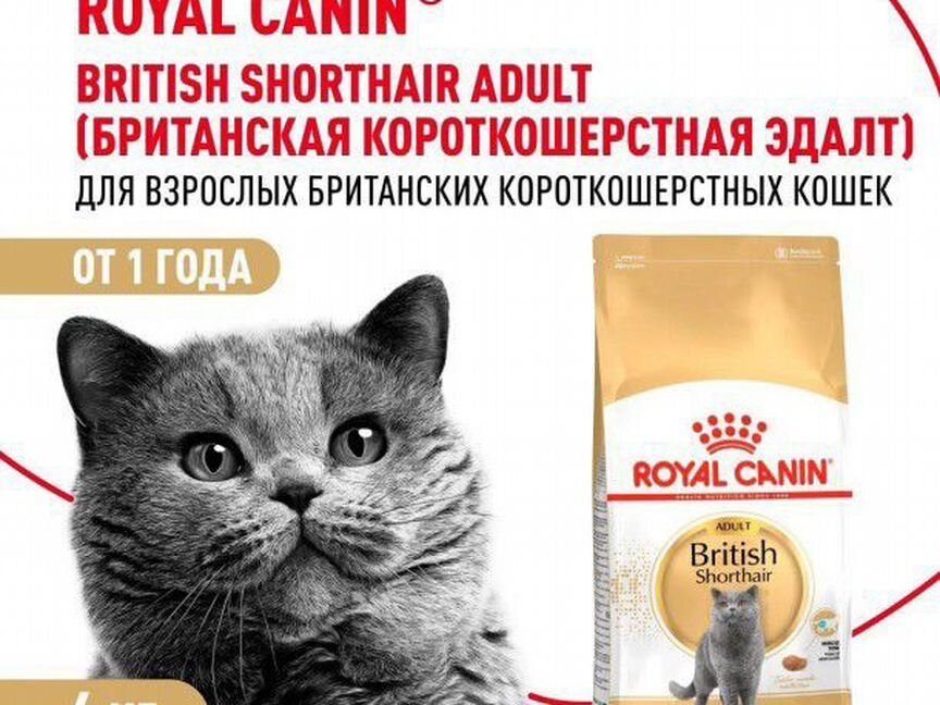 Сухой корм для британских кошек 4 кг