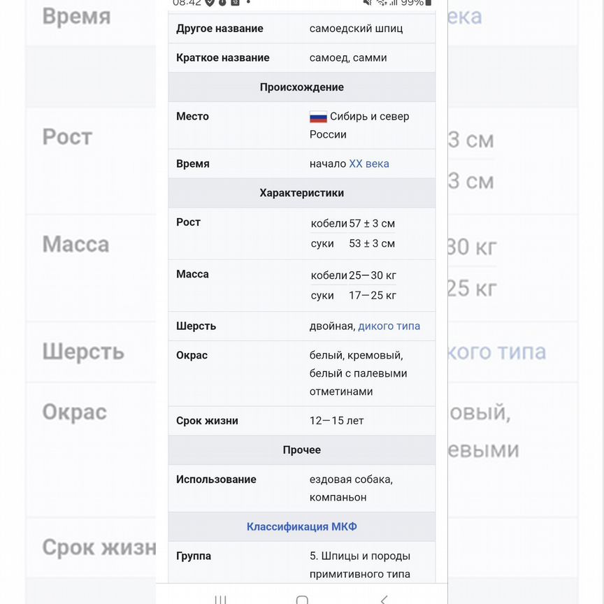 Ищем невесту самоедской собаки