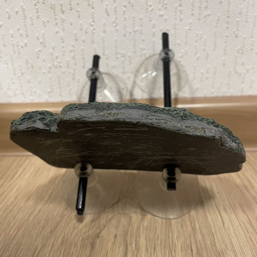 Товары для животных