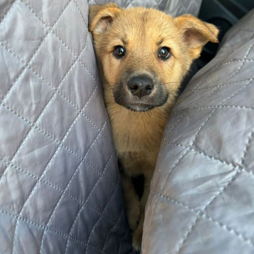 Возьми меня домой