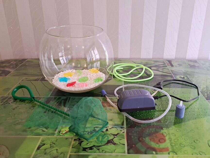 Аквариум готовый к запуску