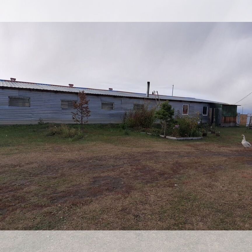 Готовое сено рулоны 90 шт,самовывоз