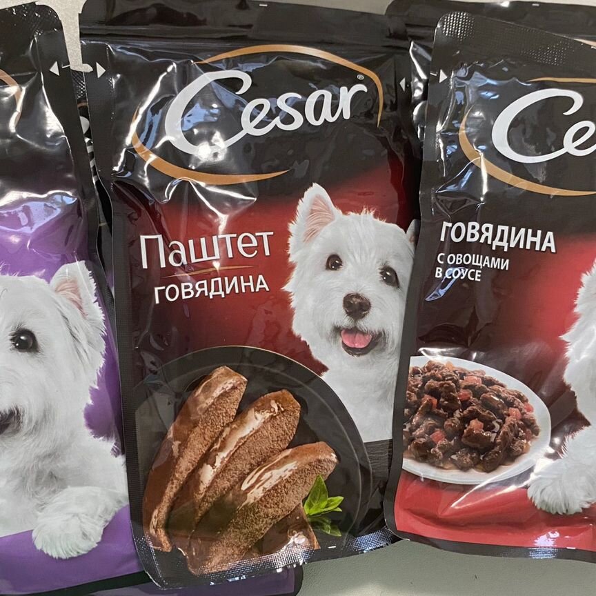 Корм для собак влажный Cesar