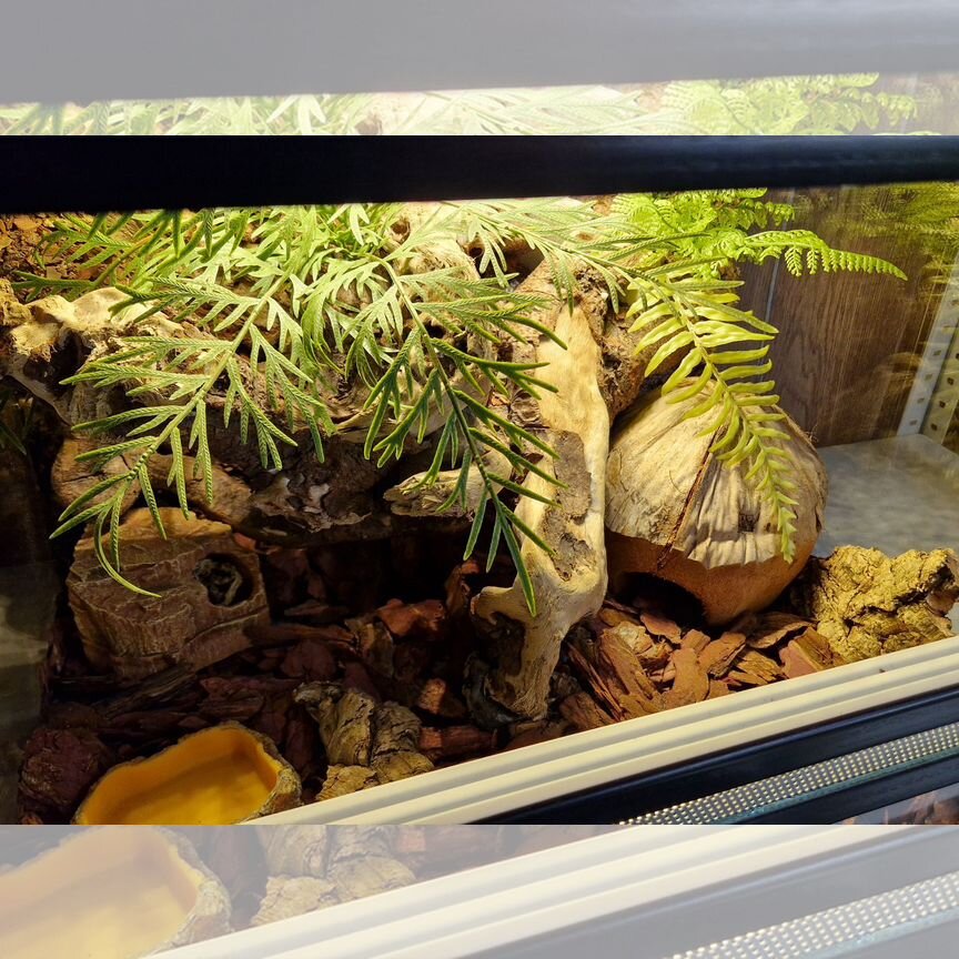 Террариум