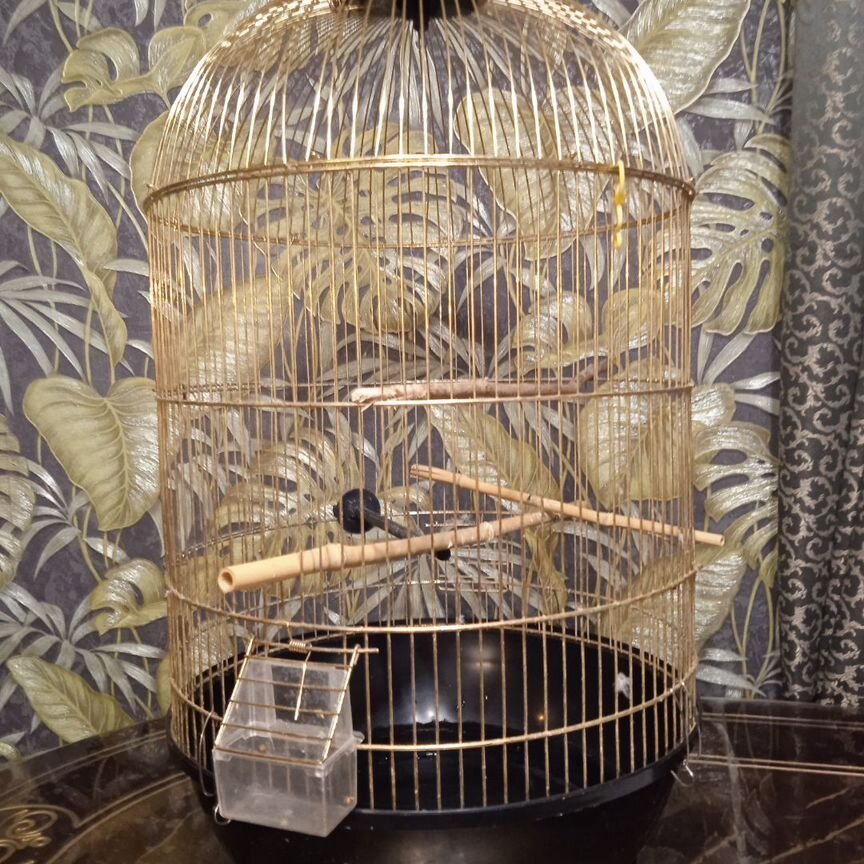 Клетка для среднего попугая