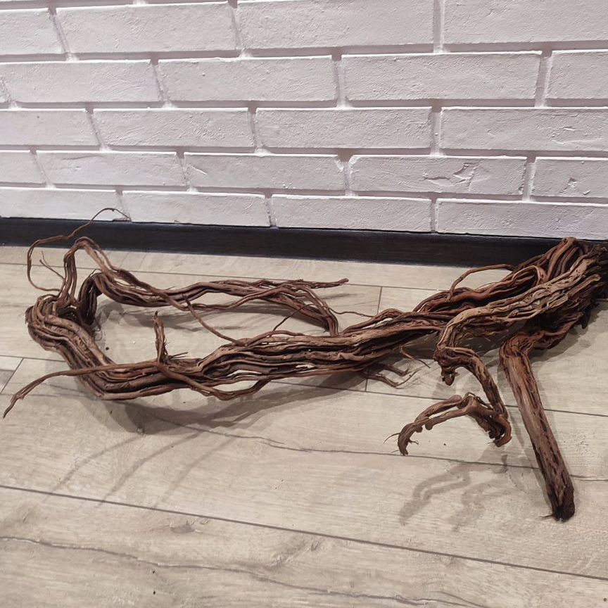 Аквариум: мангровая коряга