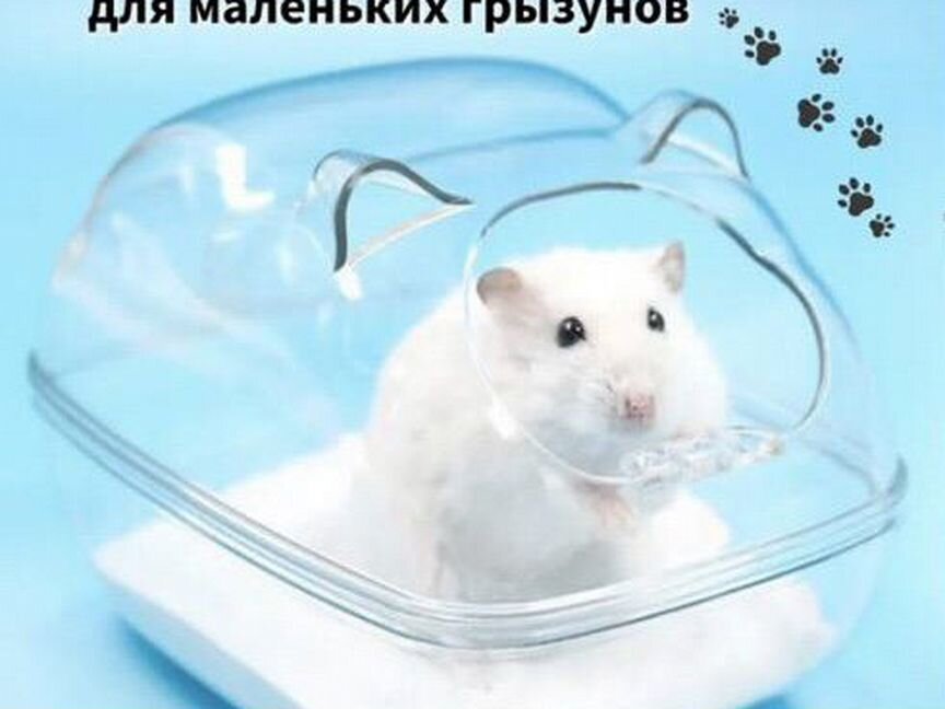 Ванна для маленьких грызунов