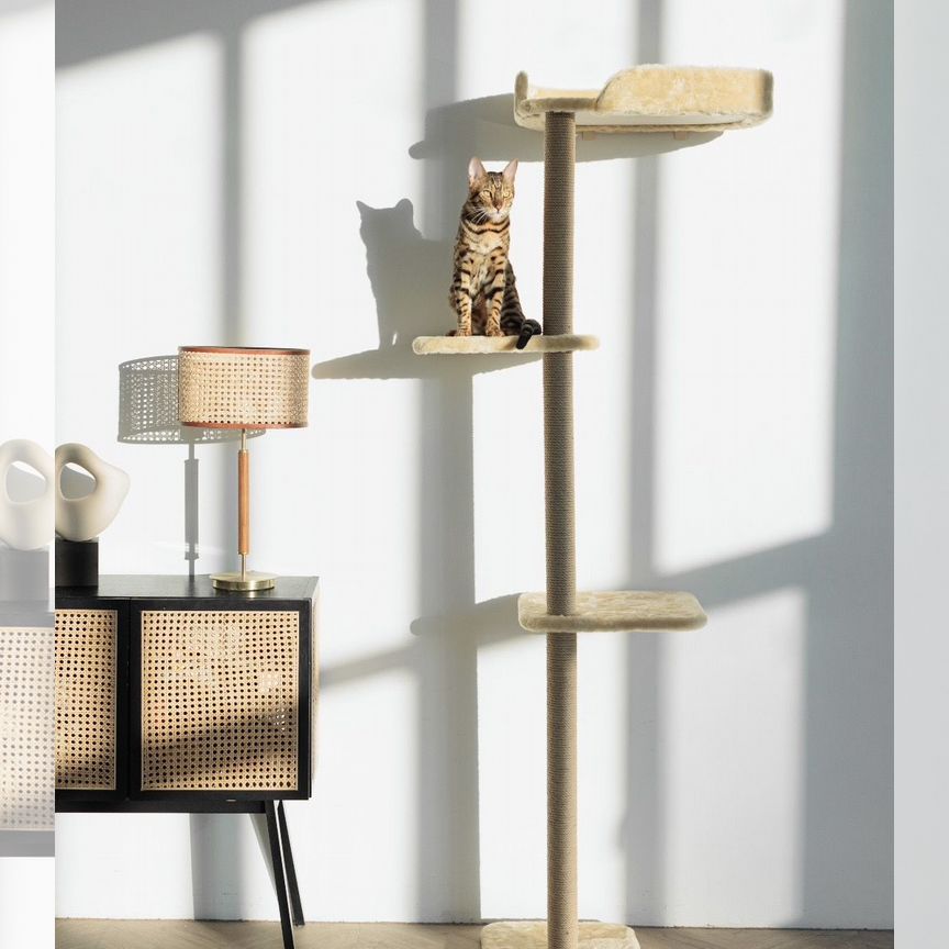 Когтеточка для кошек