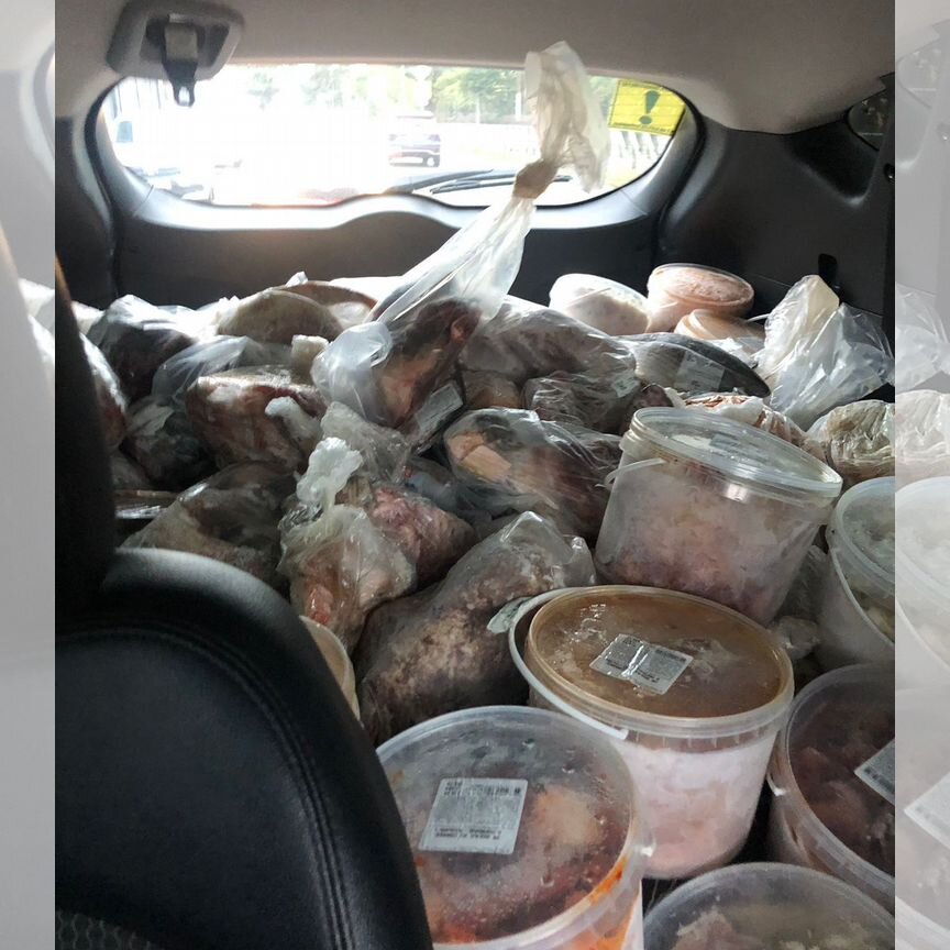 Мясные и рыбные продукты, списанные на корм животн