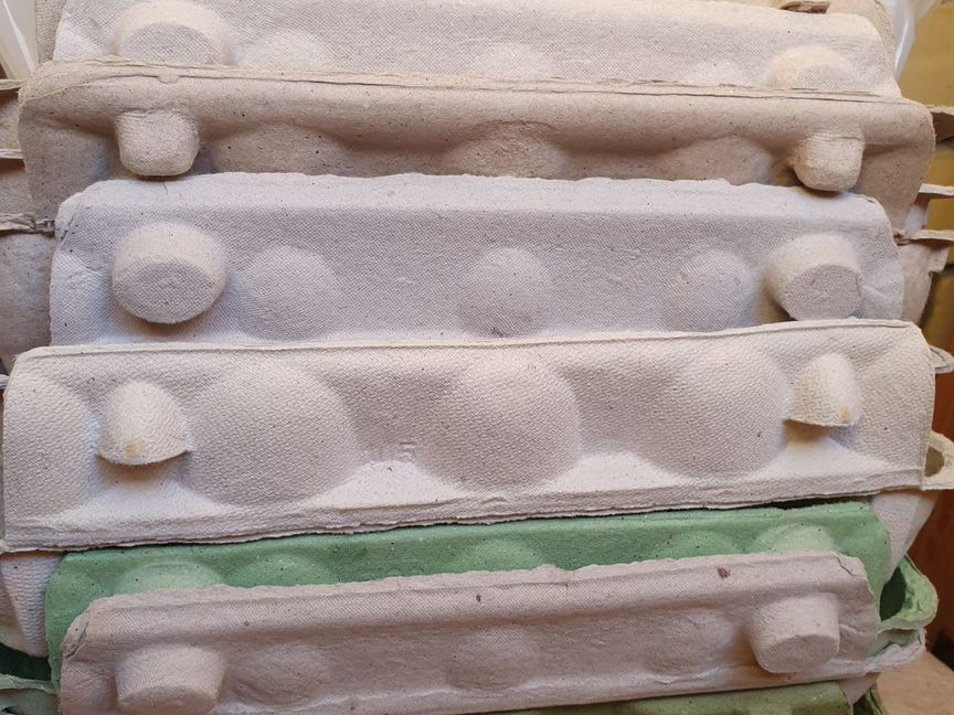 Яичные лотки