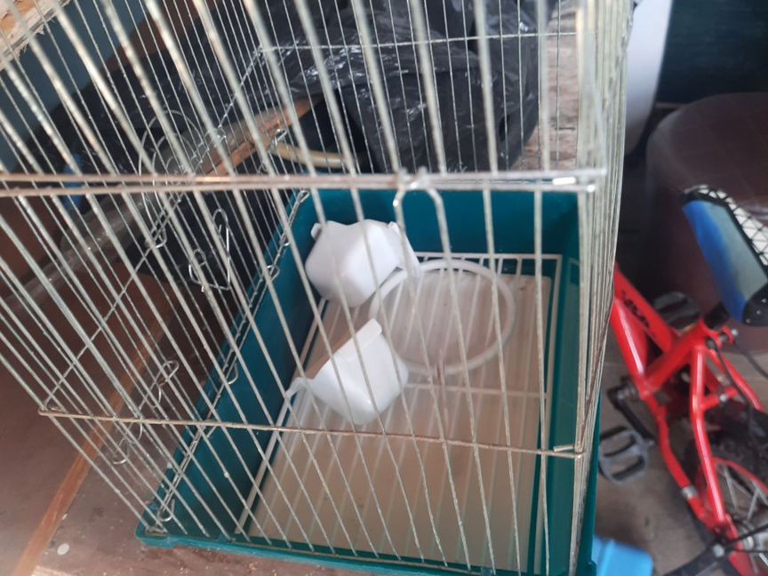 Клетка для попугая бу