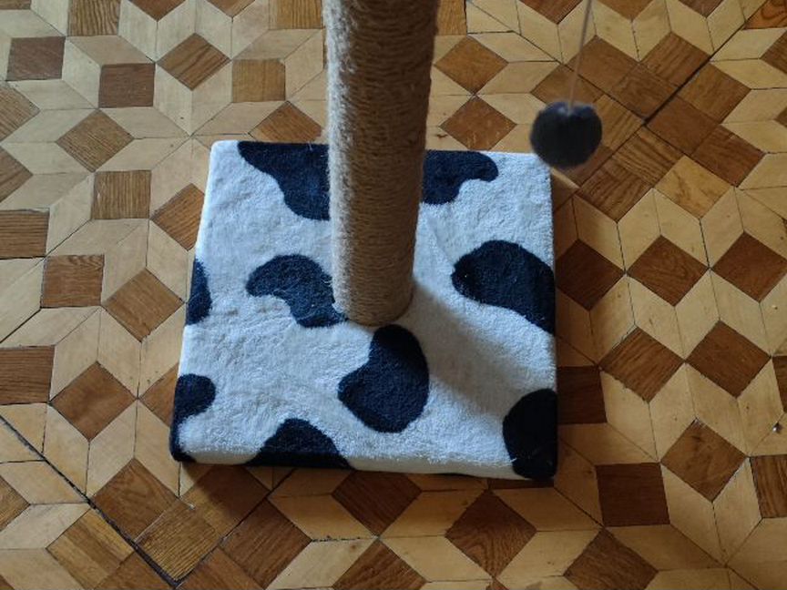 Принадлежности для кошек