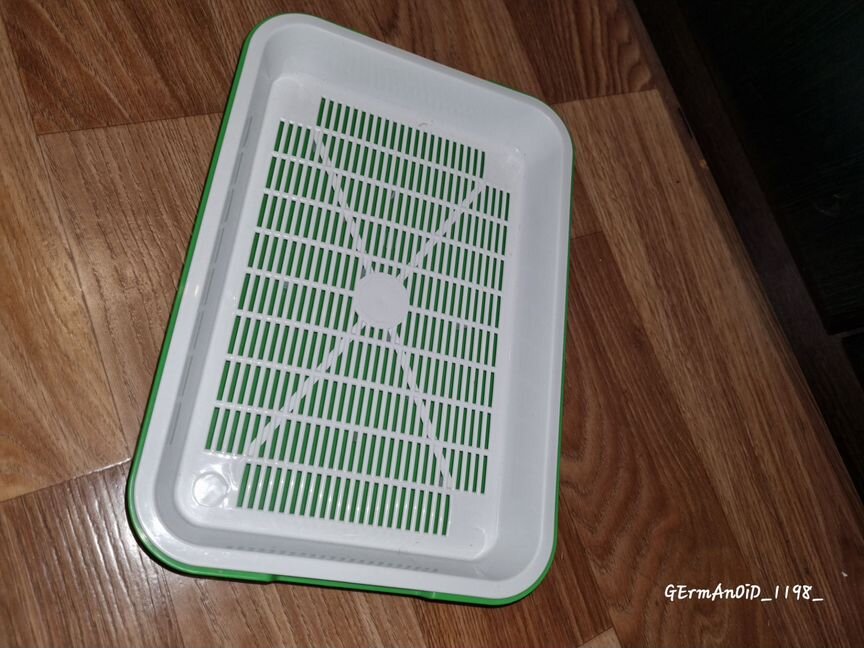 Кошачий лоток