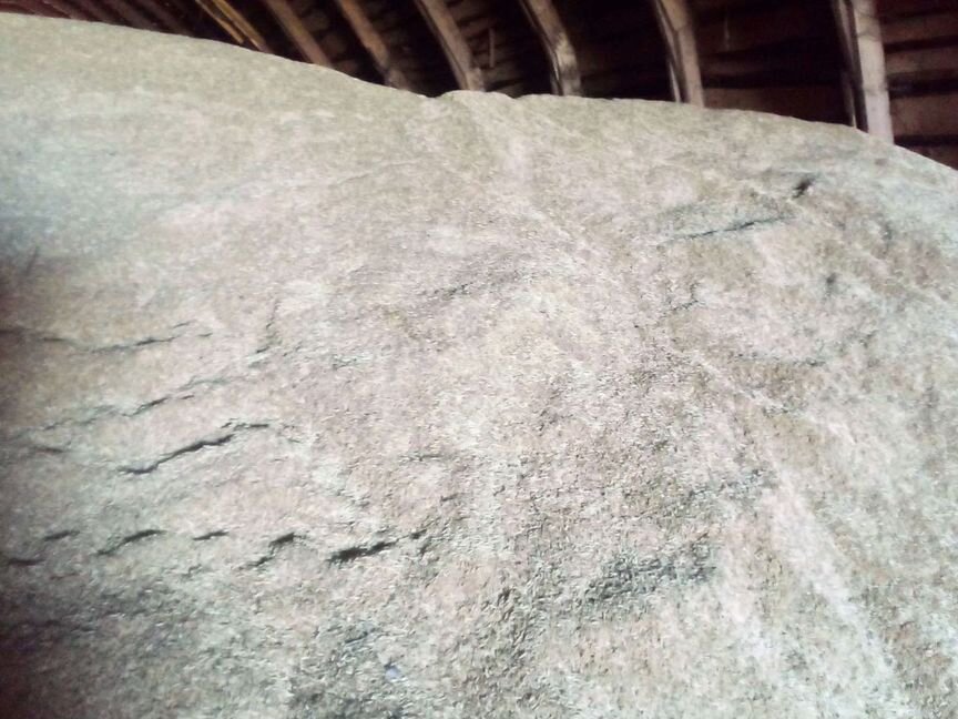 Гречиха, Фуражная кукуруза корма