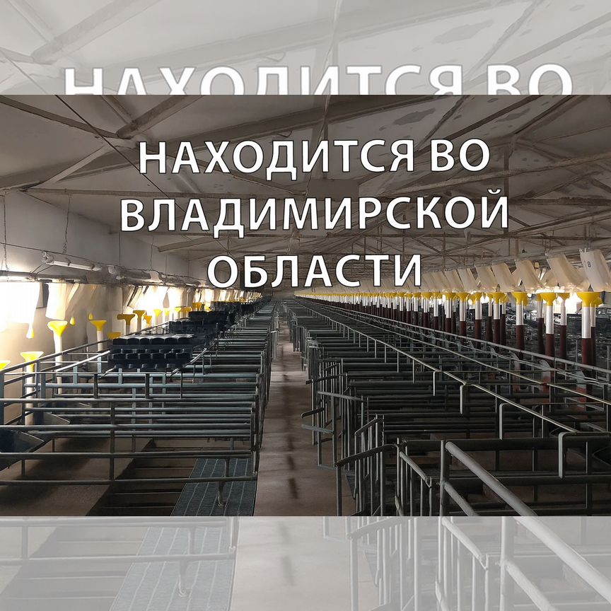 Система автоматической подачи корма Roxell