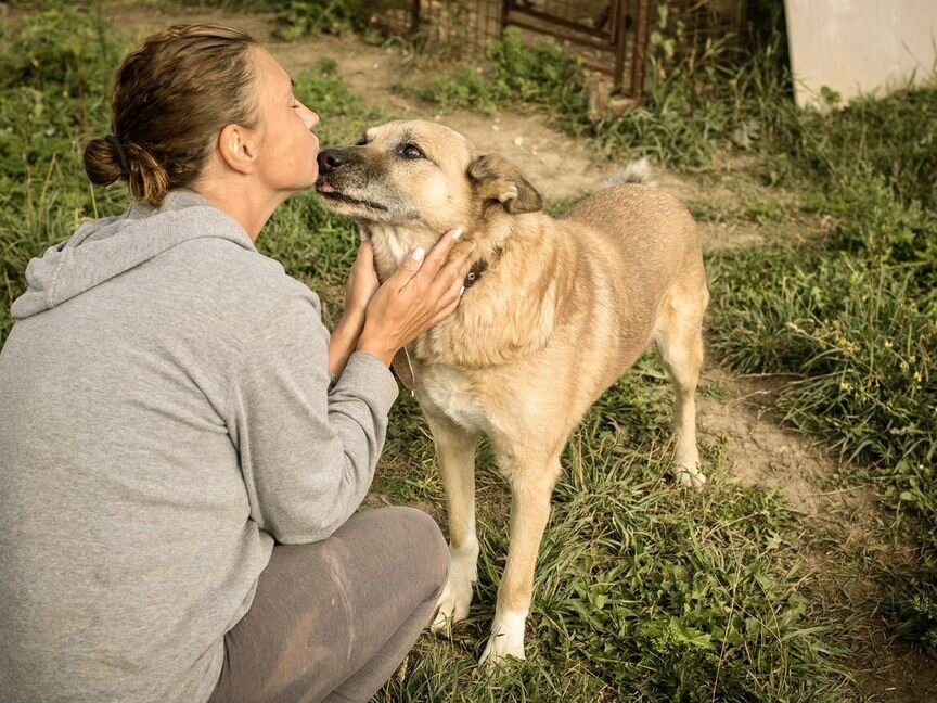 Отличный охранник и друг