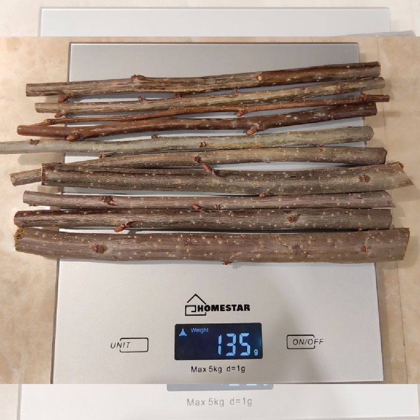 Веточки для грызунов дубовые 2026г