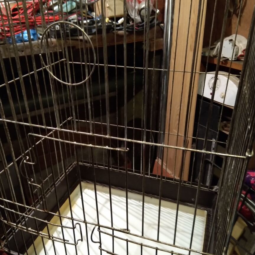 Большая клетка для птиц бу
