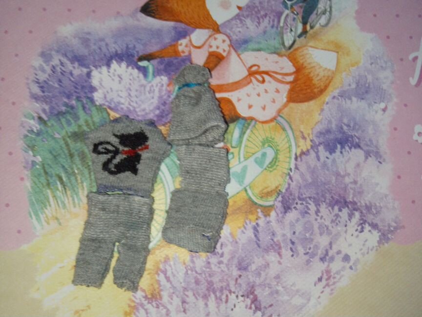 Одежда для карликовый игрунок