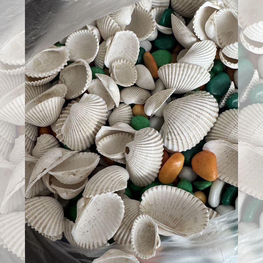 Камни и ракушки для аквариума