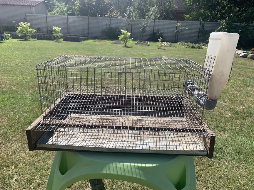 Клетка для перепелов бу