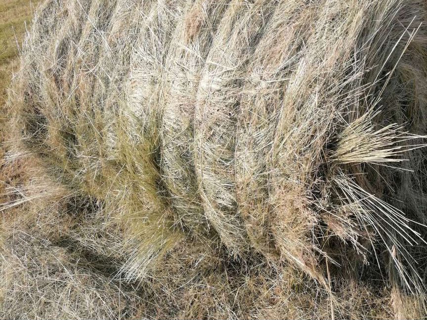 Продам сено в тюках