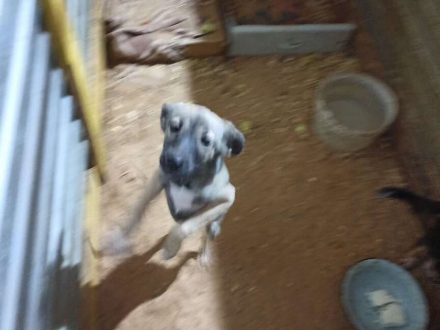 Небольшая девочка месяцев 7, очень мелкая