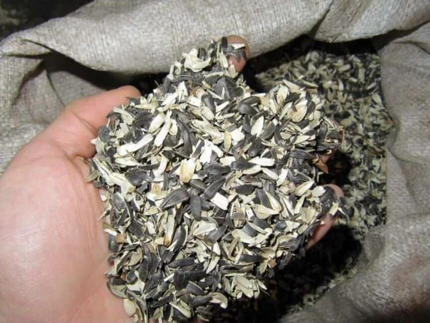 Шелуха подсолнечника