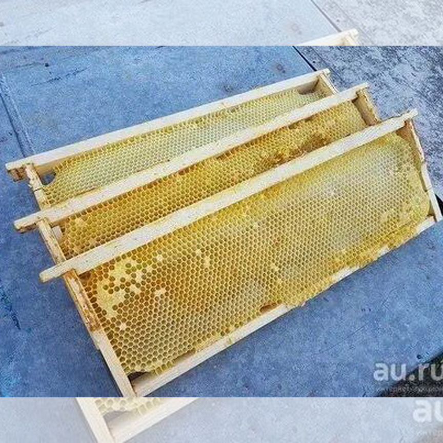 Рамки с сушью