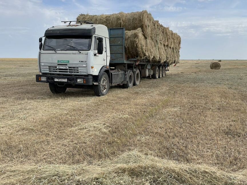 Степное Сено