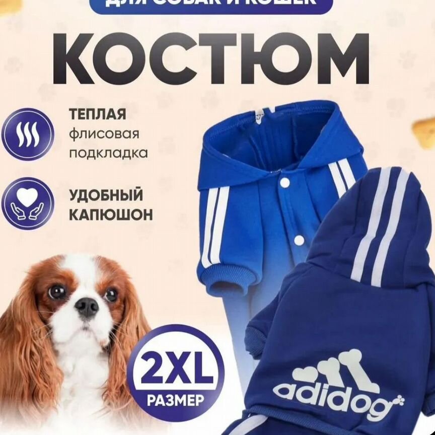 Одежда для собак средних и мелких