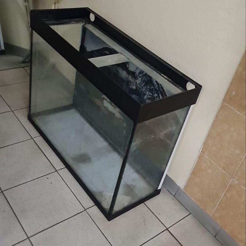 Аквариум бесплатно