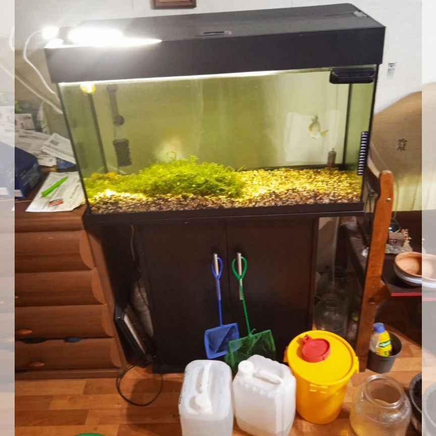 Аквариум с фильтром