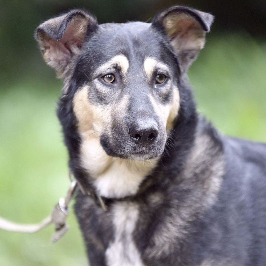 Джек ждёт свою семью