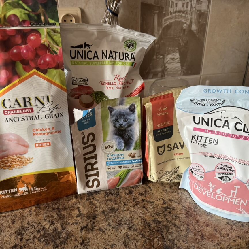 Корм для котят