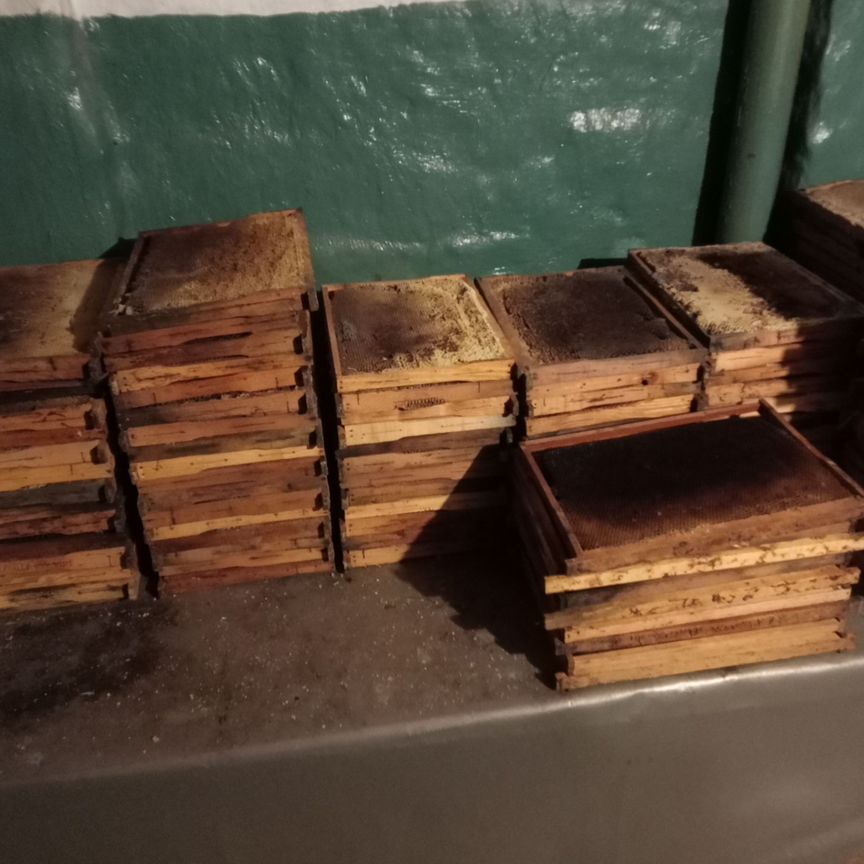 Сушь для пчел