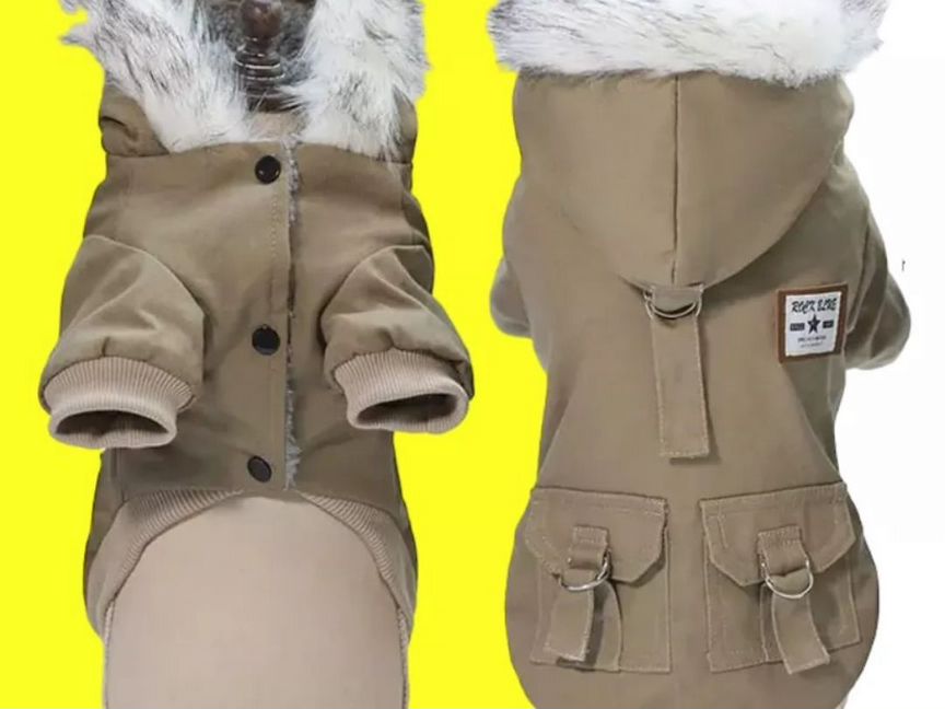 Куртка для собак или кошек