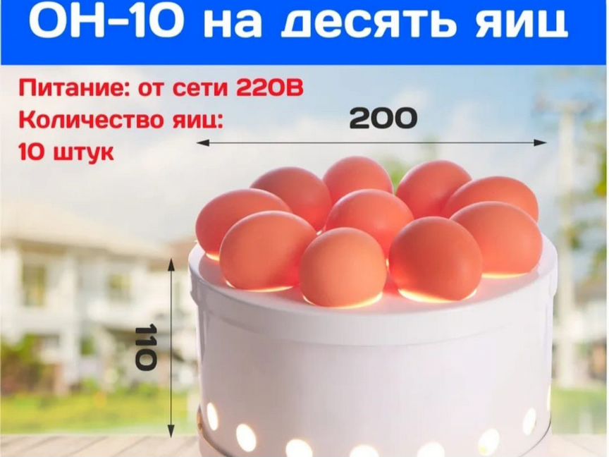 Инкубатор блиц 48