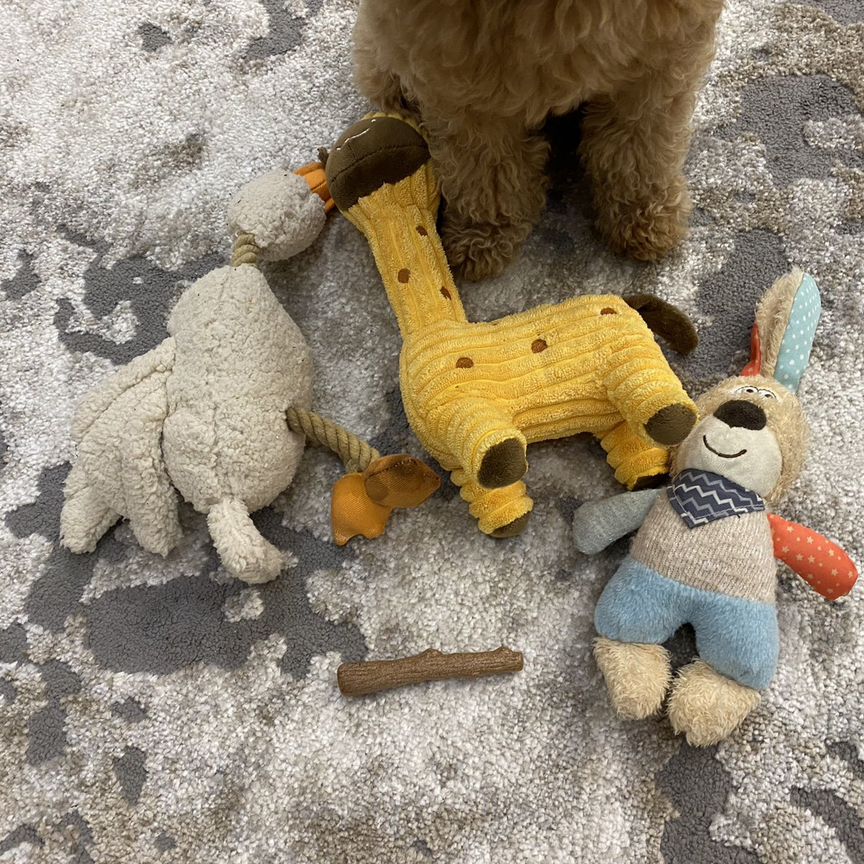 Игрушки для маленьких собак (за 3 игрушки)