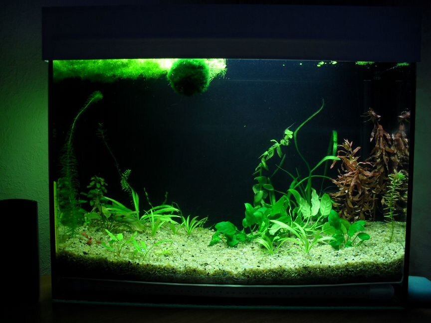 Грунт для аквариума