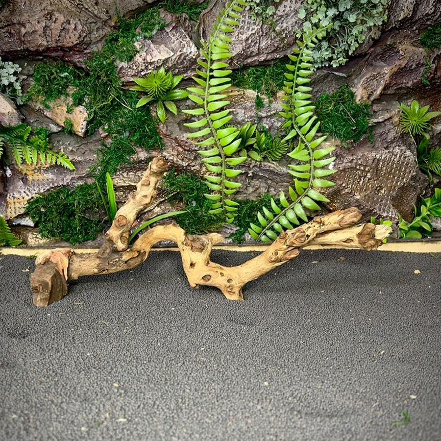 Коралловое дерево/Coral Wood кд1172