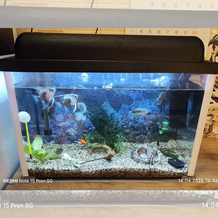 Аквариум 40 л с рыбками и совсем содержимым