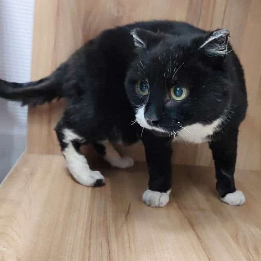 Выжившая в пожаре