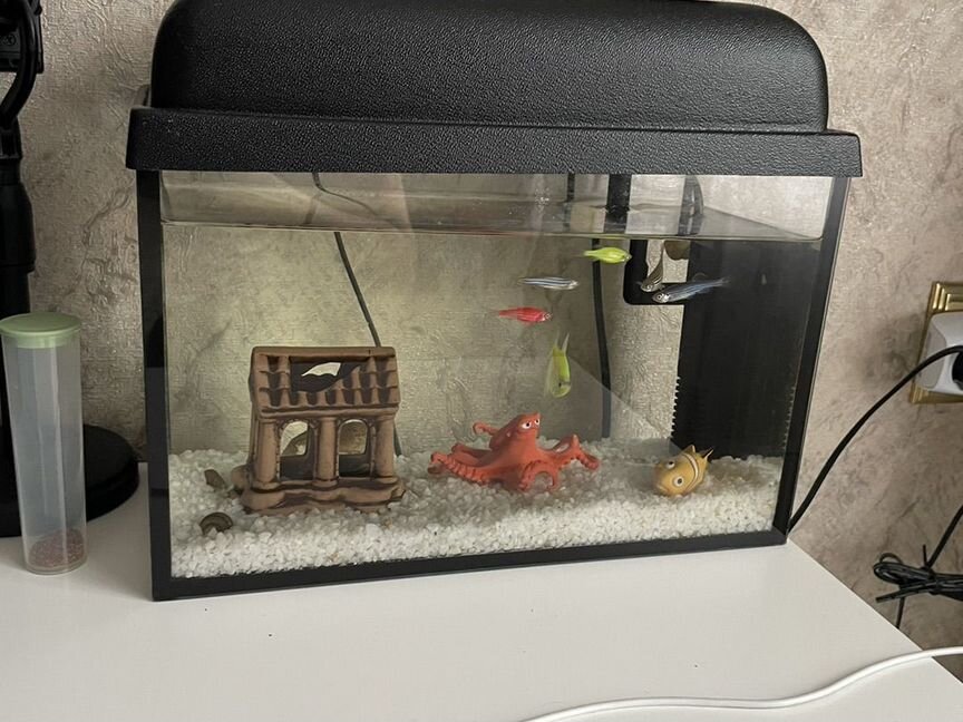 Аквариум с рыбками, раком и улитками